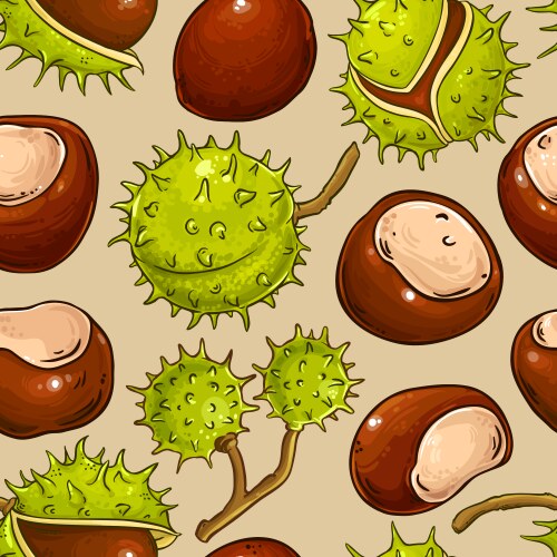 Chestnut elements on white background Royalty Free Vector