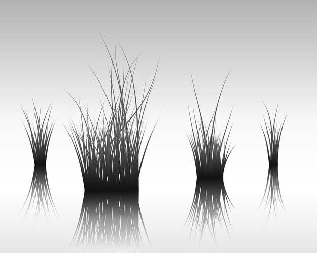 Water grass and flower Royalty Free Vector Image