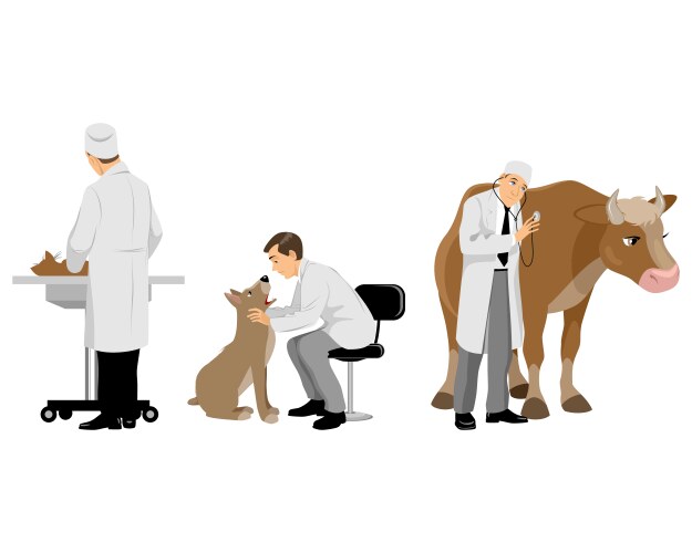 Veterinarian doctor with cow Royalty Free Vector Image
