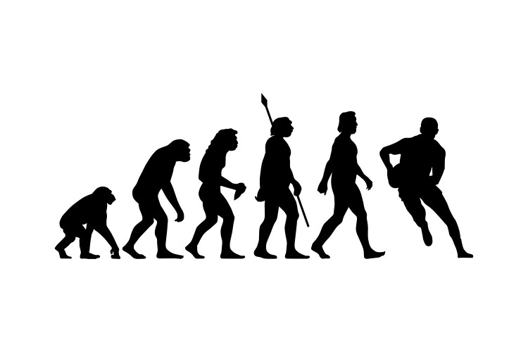 Man evolution Royalty Free Vector Image - VectorStock