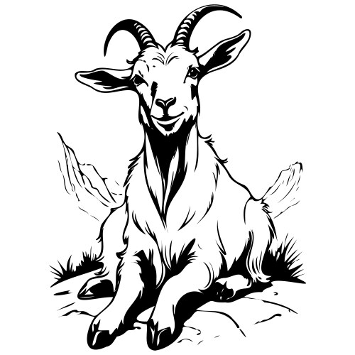 Drawing of alpine goat sitting outline Royalty Free Vector