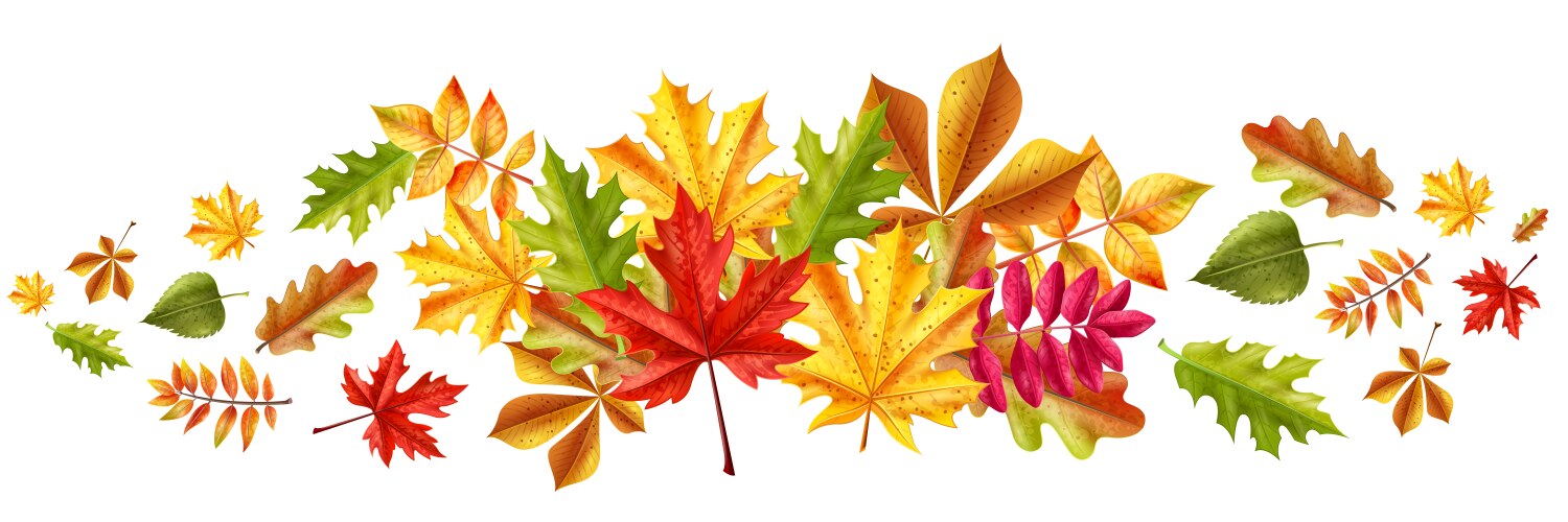 Fall Leaves Vector Images (over 90,000)