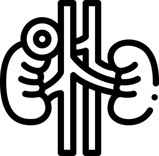 Heart and Kidney Vector Images (over 8,200)