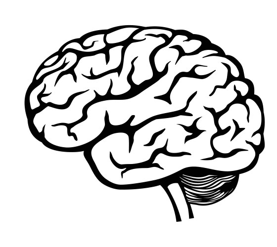 Brain Black and White Vector Images (over 88,000)
