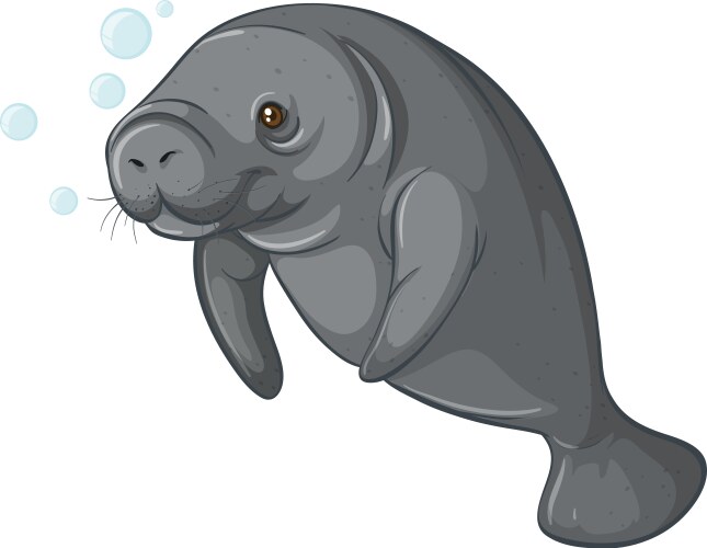 Sea cow Royalty Free Vector Image - VectorStock