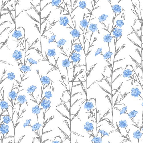 Flax Flower Linseed Vector Images (over 260)