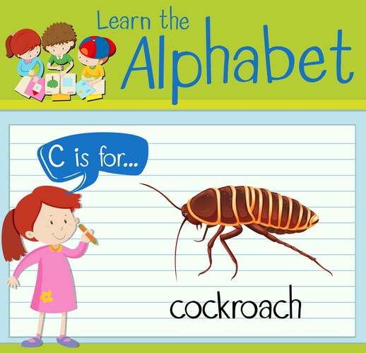 Cockroach Letters Flashcard Vector Images (12)