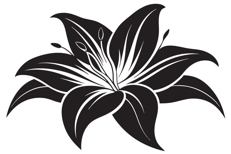 Beautiful lily flower floral Royalty Free Vector Image