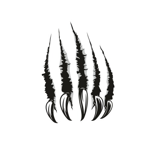 Claws scratches on white background Royalty Free Vector