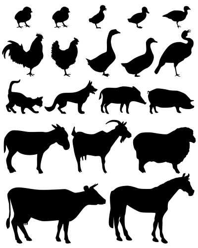 Free Animal Vector Images (over 54,000)