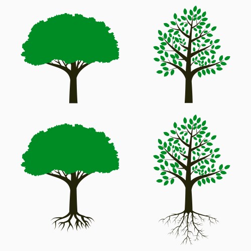 Tree in bloom Royalty Free Vector Image - VectorStock