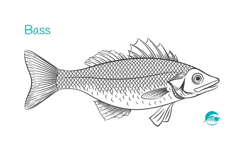 Bass Cartoon Fish Vector Images (over 1,800)
