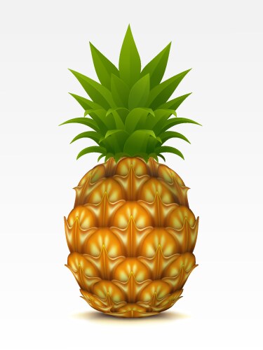 Pineapple Vector Images (over 55,000)
