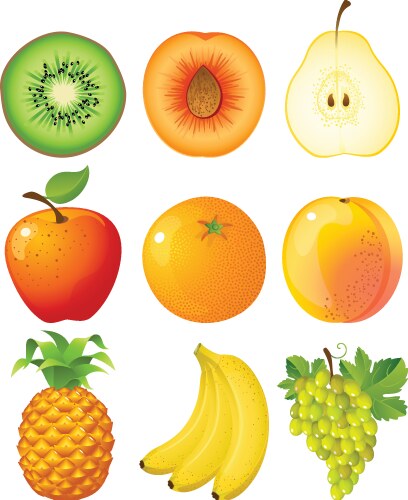 Fruit Vector Images (over 830,000)