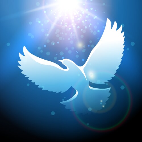 Dove Symbol Vector Images (over 35,000)