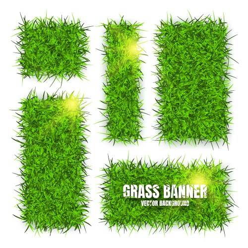 Green grass banners background field meadow Vector Image