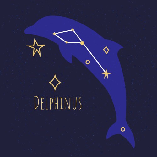 Dolphin Constellation Vector Images (58)