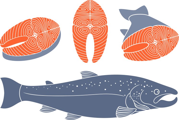 Pink Salmon Vector Images (over 1,800)
