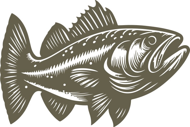 Cod Fish Vector Images (over 3,300)
