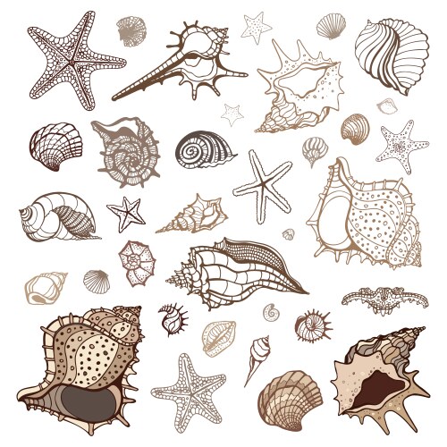 Sea Shells Vector Images (over 65,000)