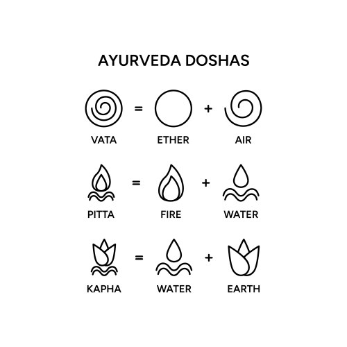 Vata dosha infographic poster Royalty Free Vector Image