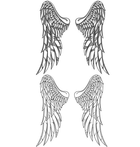 Wings Vector Images (over 470,000)