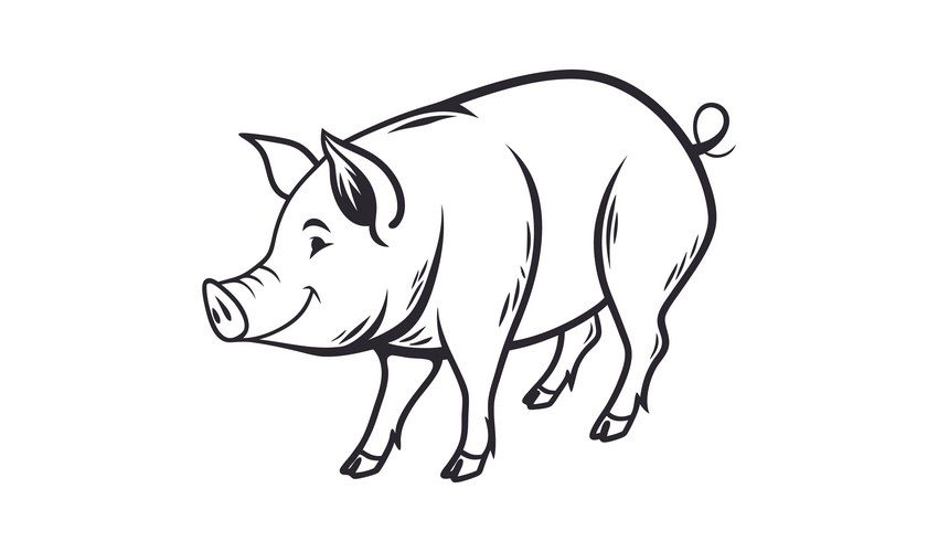Pig Images Clip Art