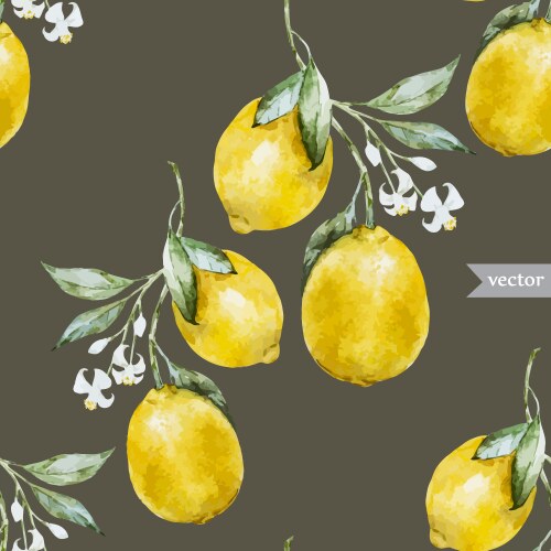 Lemon Vector Images (over 150,000)