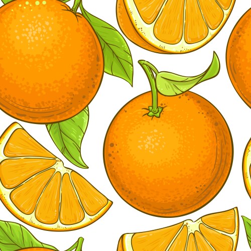 Cranberry seamless pattern Royalty Free Vector Image