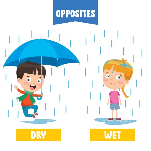 Opposite words for wet and dry Royalty Free Vector Image