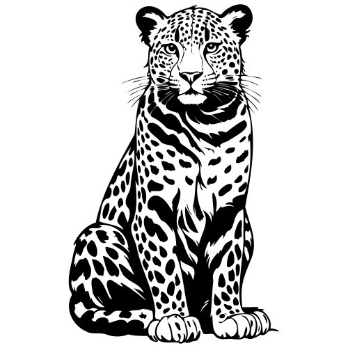 Amur leopard sitting drawing outline cartoon Vector Image