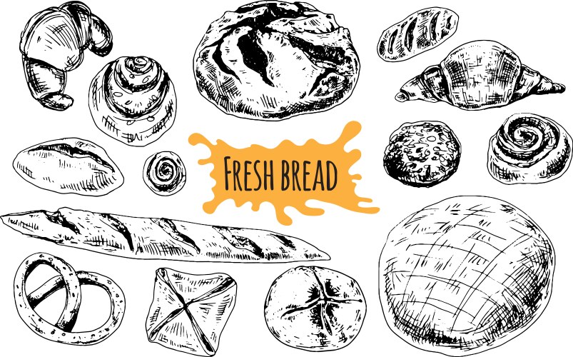 Bread drawing bakery product sketch Royalty Free Vector