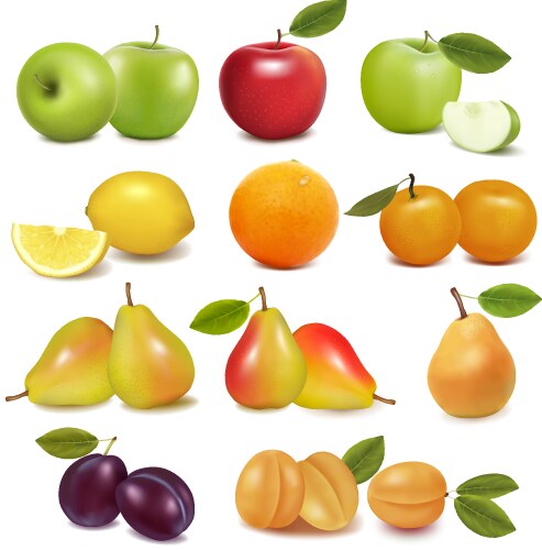 Fruit Royalty Free Vector Image - VectorStock