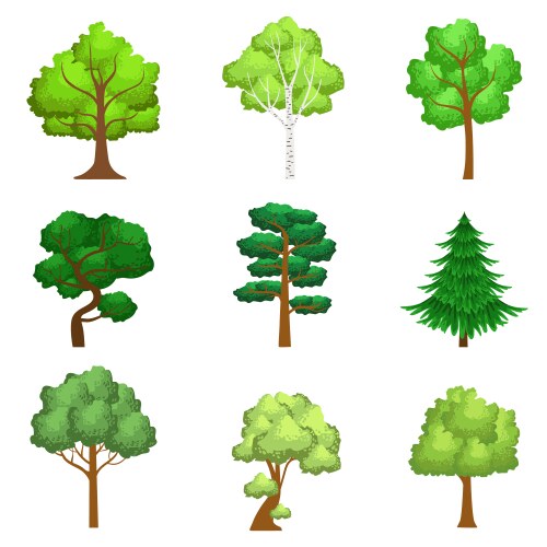 Cartoon trees set Royalty Free Vector Image - VectorStock