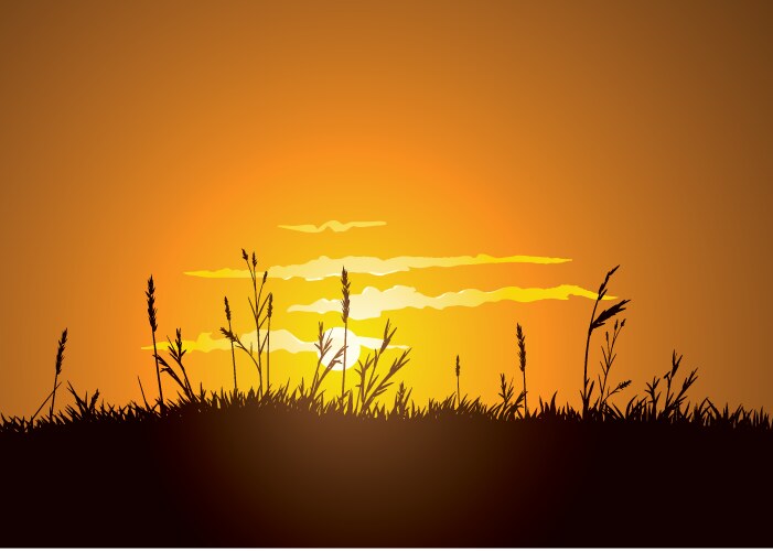 Sunrise Vector Images (over 140,000)