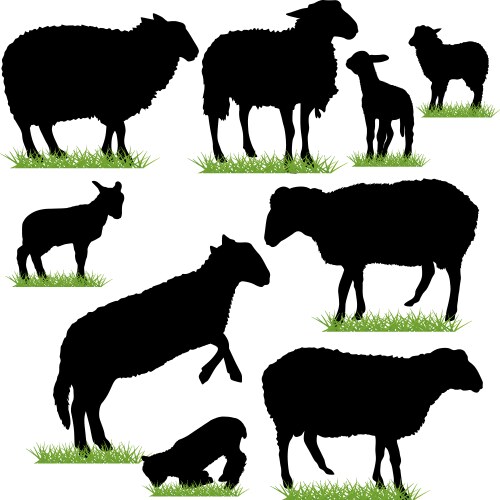 Sheep Silhouette Vector Images (over 12,000)