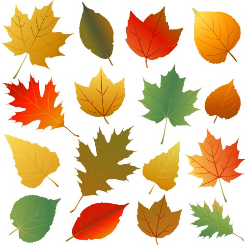 Leaves Vector Images (over 760,000)