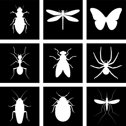 Insects Vector Images (over 240,000)