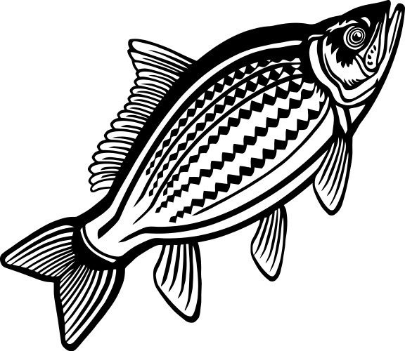 Common Carp Vector Images (over 420)