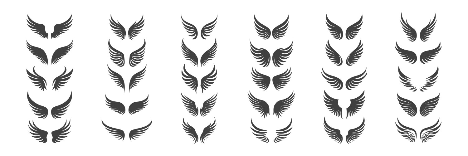 Monochrome set different wings for design Vector Image