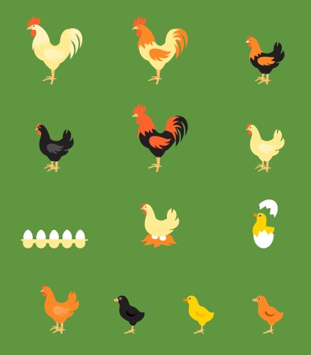 Hen Vector Images (over 43,000)