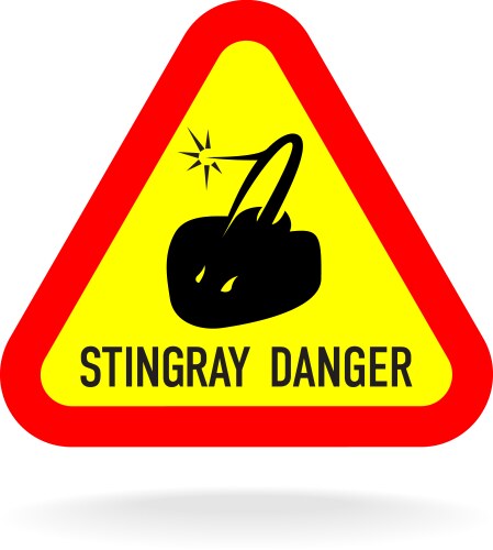 Stingray logo Vector Images & Graphics for Commercial Use | VectorStock