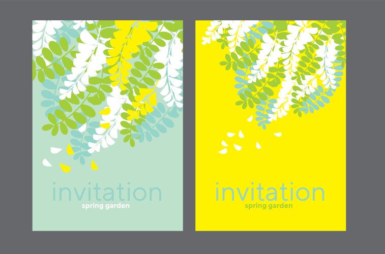 Acacia Vector Images (over 3,000)