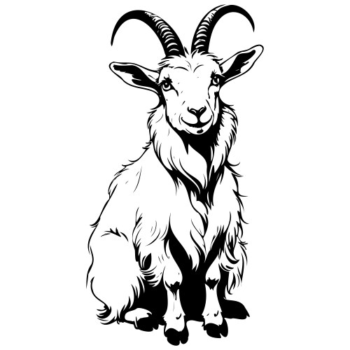 Drawing of alpine goat sitting outline Royalty Free Vector
