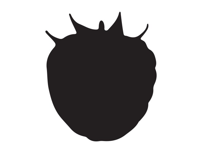 Strawberry silhouette art Royalty Free Vector Image