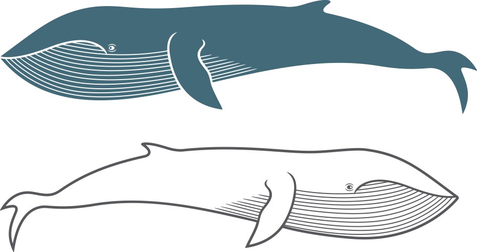 Whale Outline Vector Images (over 7,100)