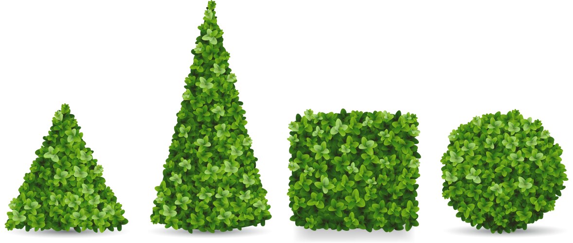 Shrubs Vector Images (over 16,000)