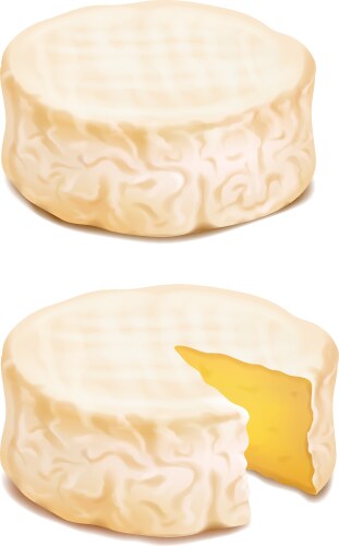 Round Cheese Vector Images (over 7,100)