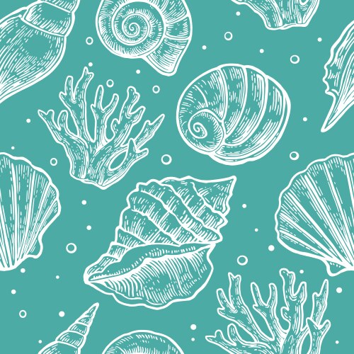 Sea shell nautilus color engraving vintage Vector Image