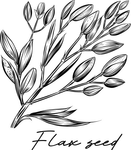 Flax Vector Images (over 4,400)